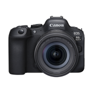 Canon Eos R6 Mk2 On Sale Www simpleplanning