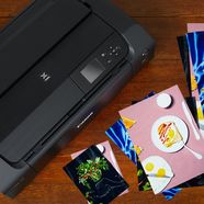 Canon PIXMA PRO 200 Wireless Professional Inkjet Photo Printer 100 Days