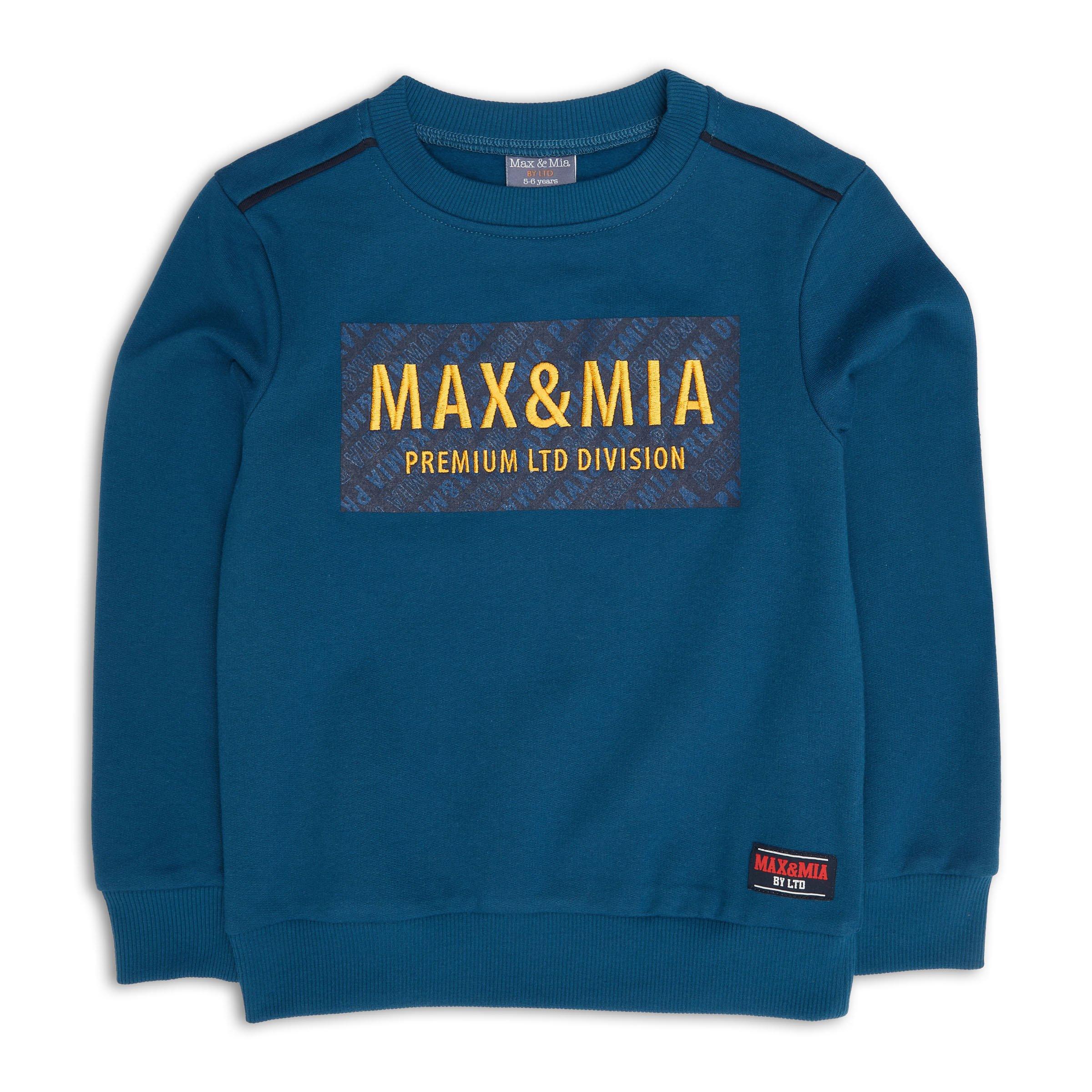 Kid Boys Blue Sweater (3143698) | Max & Mia