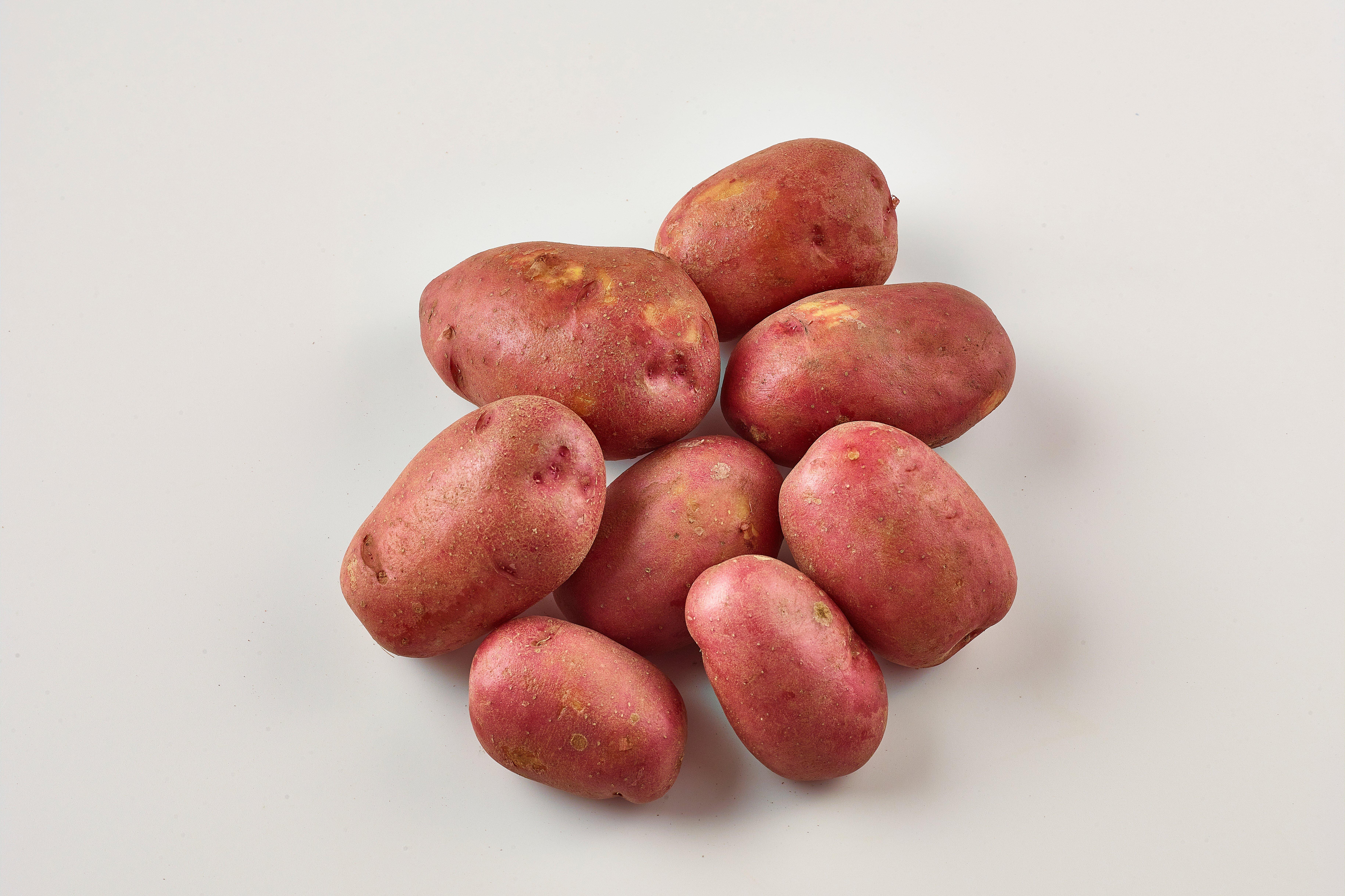 Buy Wholesale White & Red Potatoes in Bulk | Brakes Foodservice ...
