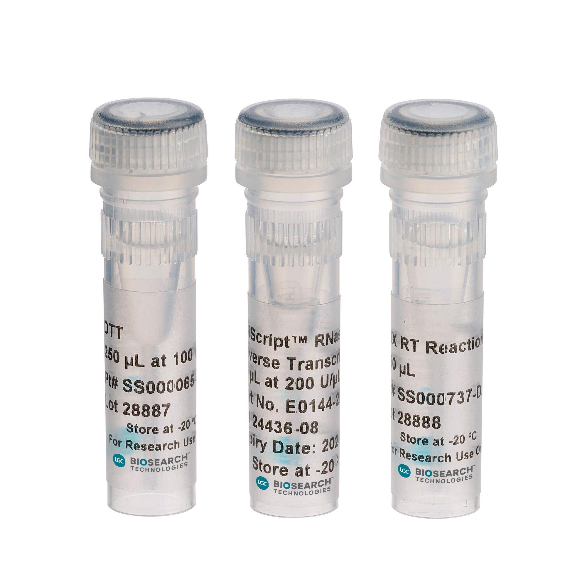 EpiScript RNase H- Reverse Transcriptase Kit | LGC, Biosearch Technologies