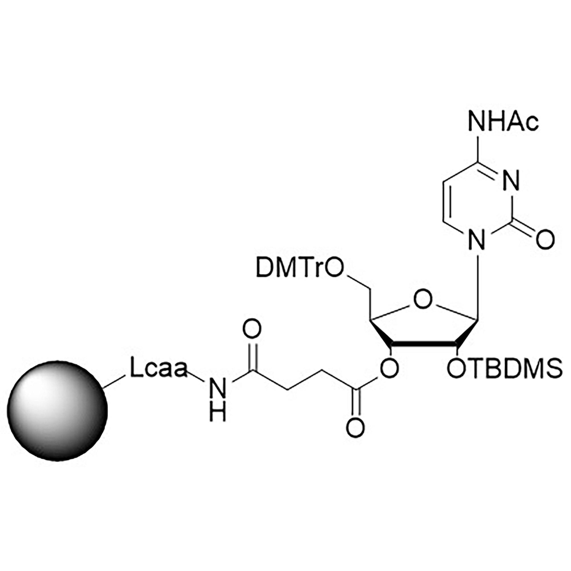 Prime Synthesis CPG | LGC, Biosearch Technologies