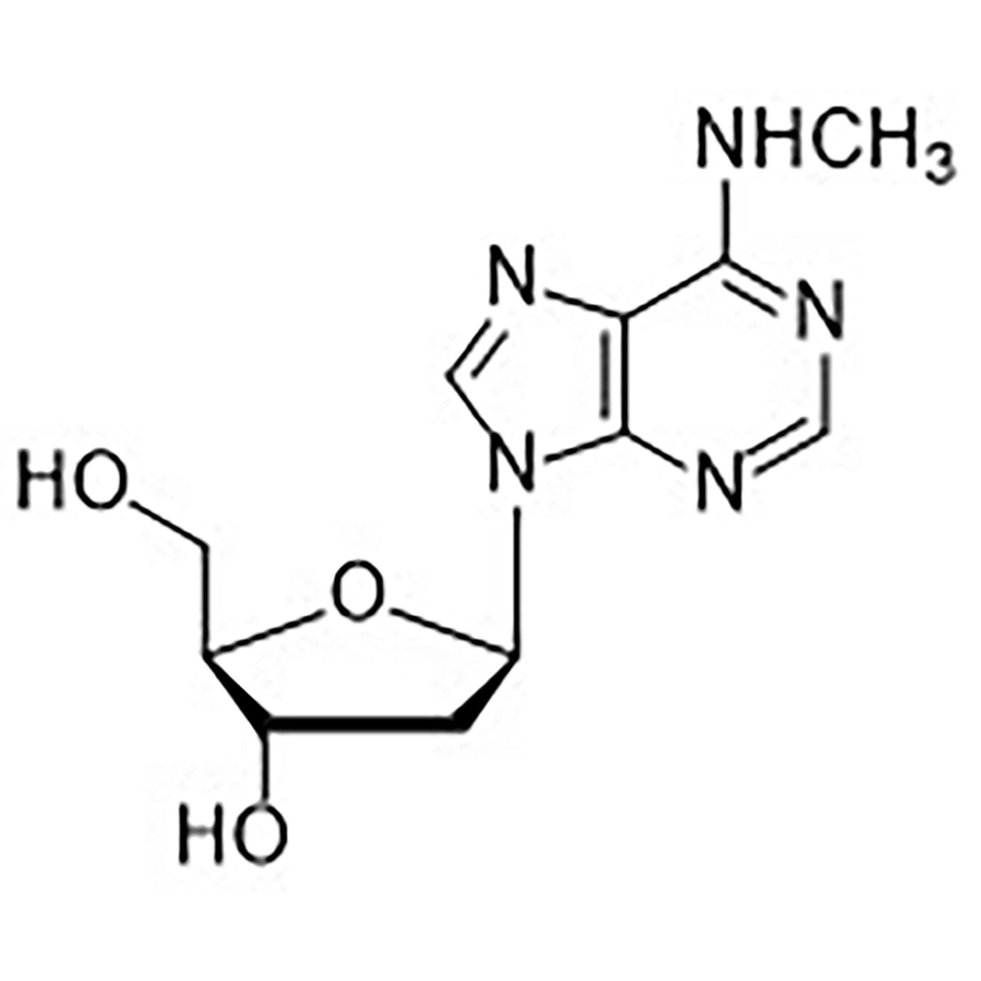N6-Methyl-2'-deoxyadenosine | LGC, Biosearch Technologies