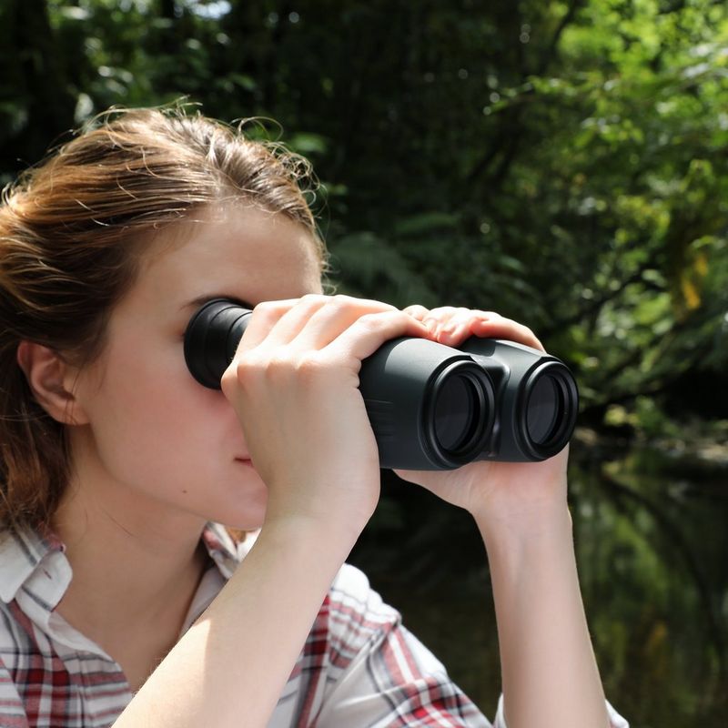 Buy Canon 12x32 IS Small Compact Lightweight Portable Binoculars ...