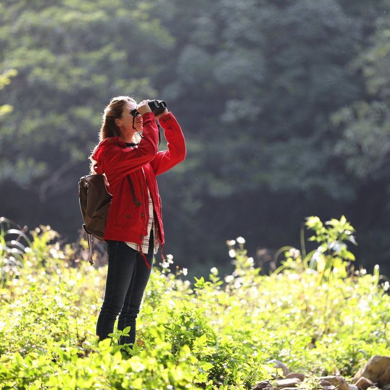 Buy Canon 12x32 IS Small Compact Lightweight Portable Binoculars ...