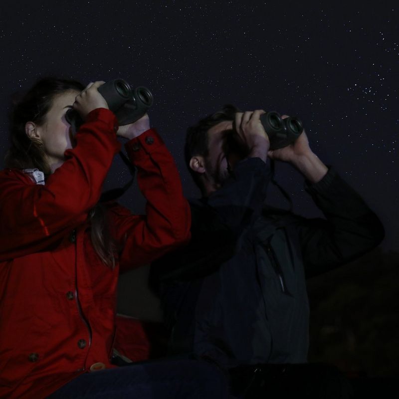 Buy Canon 12x32 IS Small Compact Lightweight Portable Binoculars ...