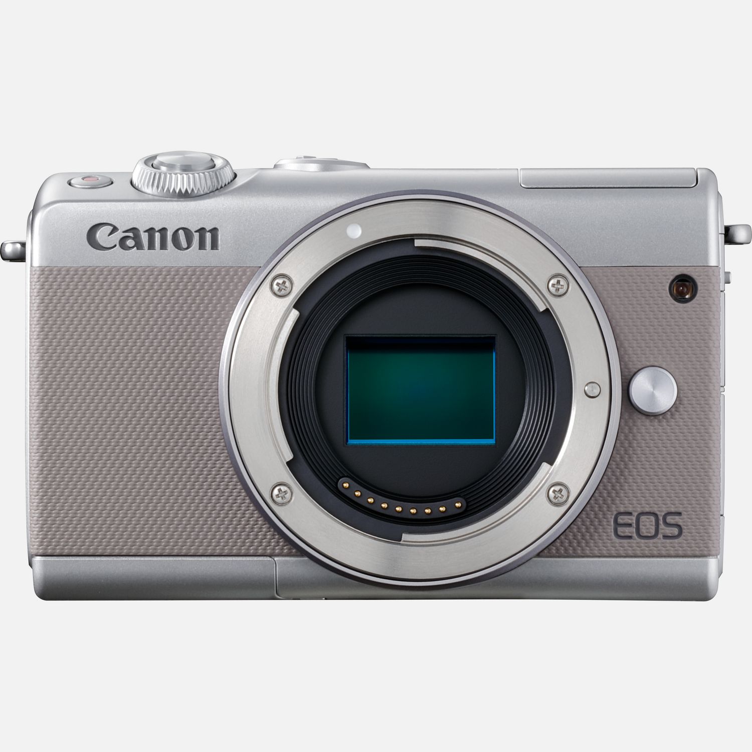 Buy Canon EOS M100 Body - Grey in Discontinued — Canon Danmark Store