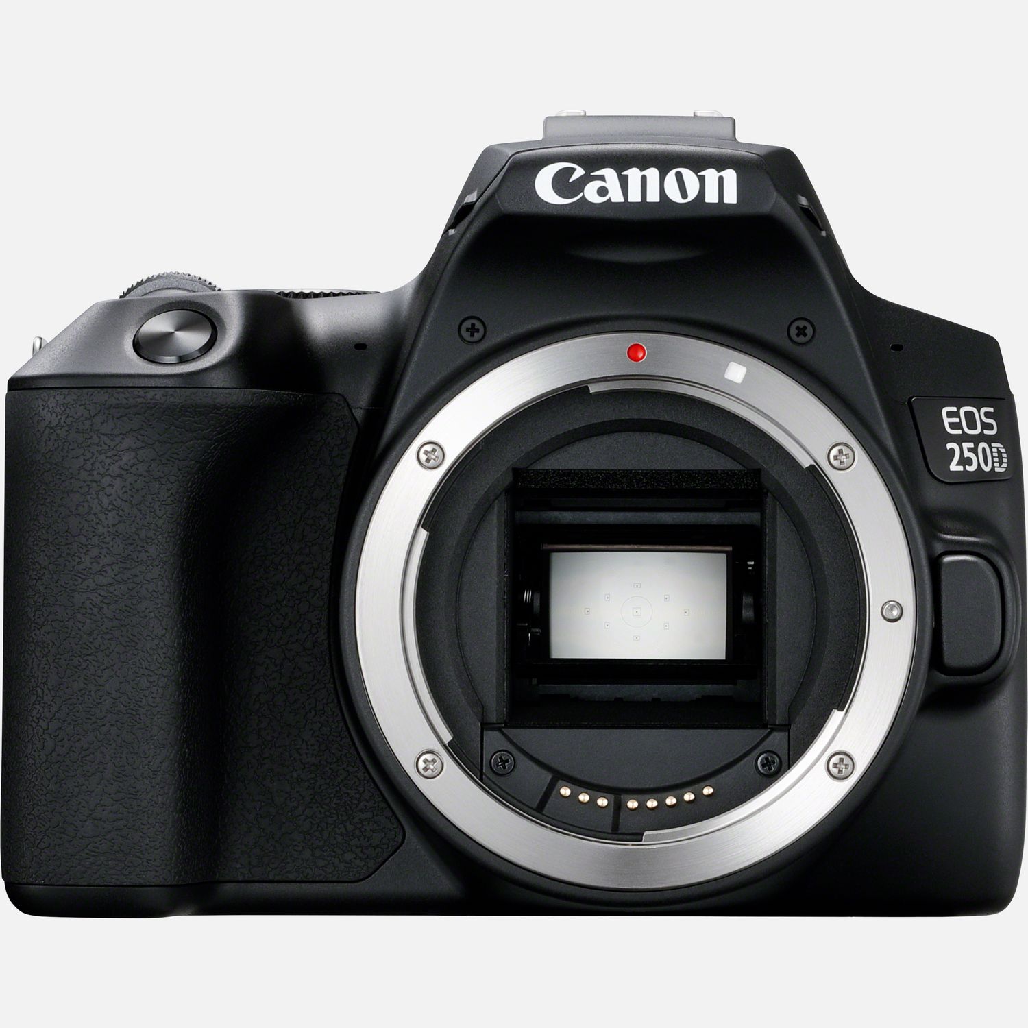 Buy Canon EOS 250D Camera Body, Black in Wi-Fi Cameras — Canon OY Store