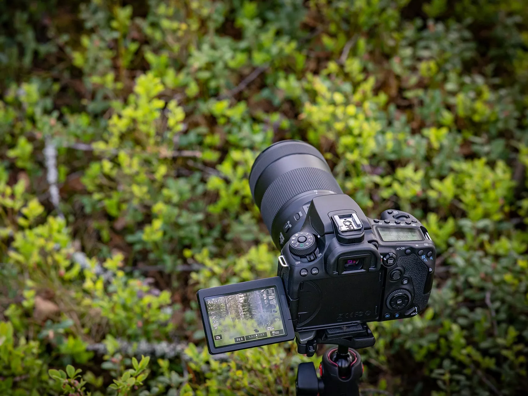 Canon EOS 90D Camera Price in Bangladesh | RYANS