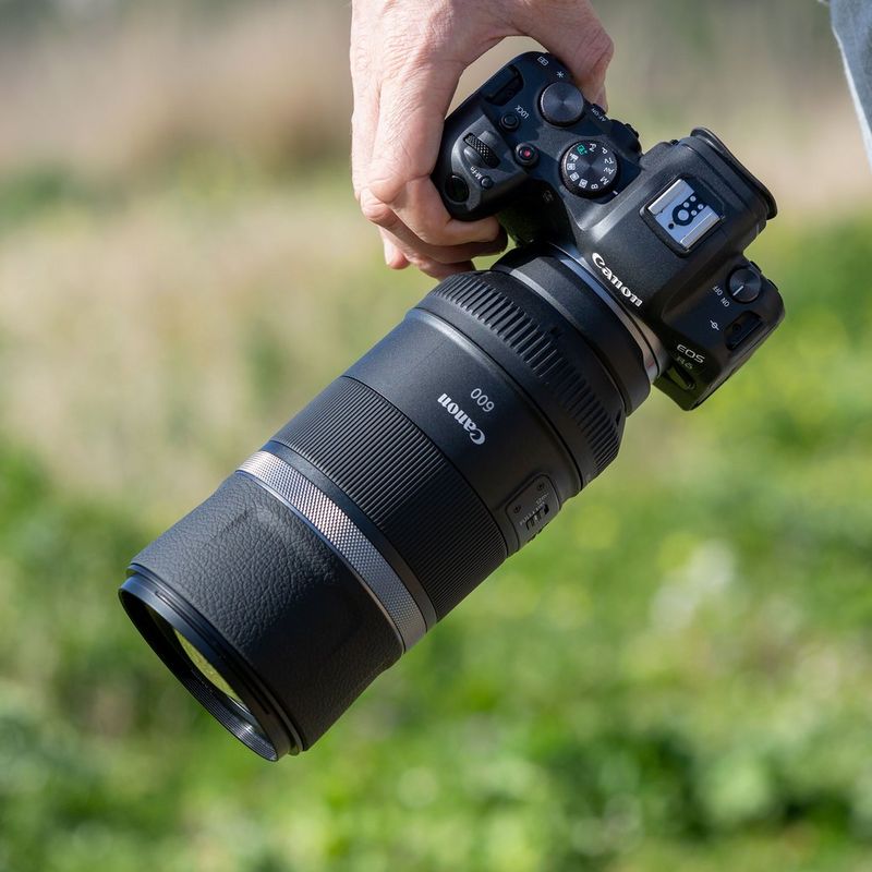 Buy Canon RF 600mm F11 IS STM Lens — Canon Ireland Store