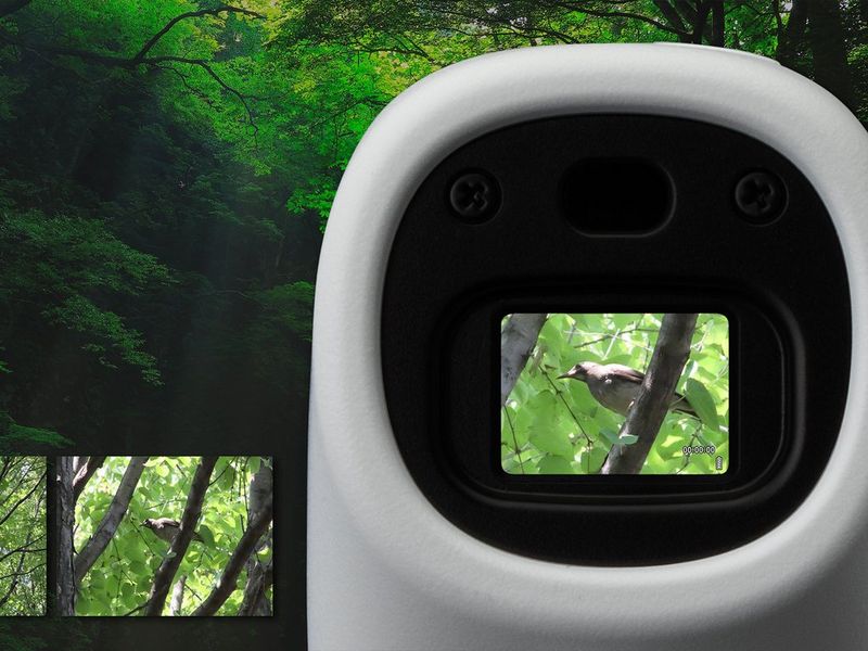 Kopen Canon PowerShot ZOOM Telephoto Monocular Compact Camera Essential ...