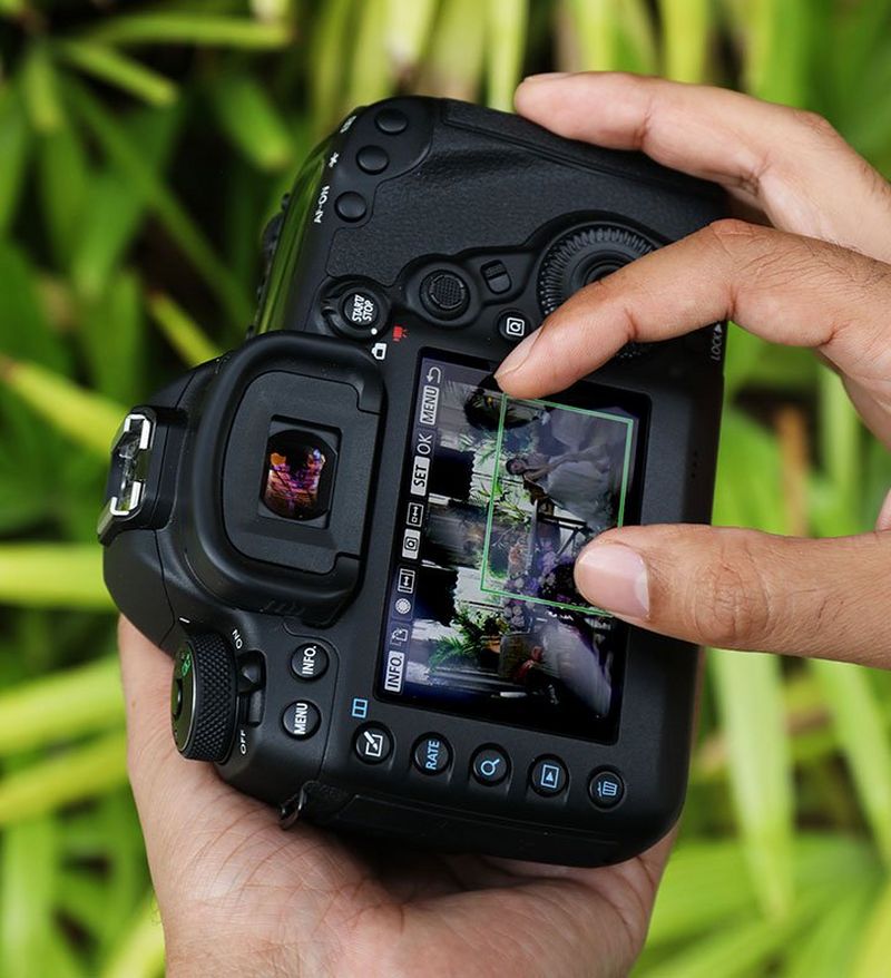 Фотоаппарат зеркальный CANON EOS 5D Mark IV body по цене 400 000 руб ...