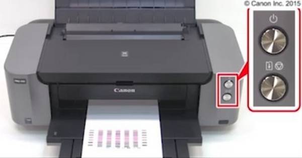 Canon ip3000 manual head alignment - pasawisdom