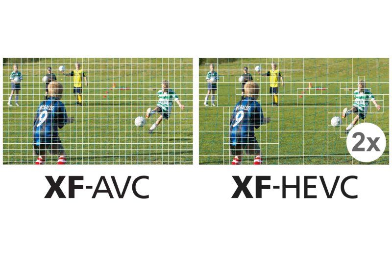 4K UHD/50P 4:2:2 10-bit support with HEVC - Canon UK