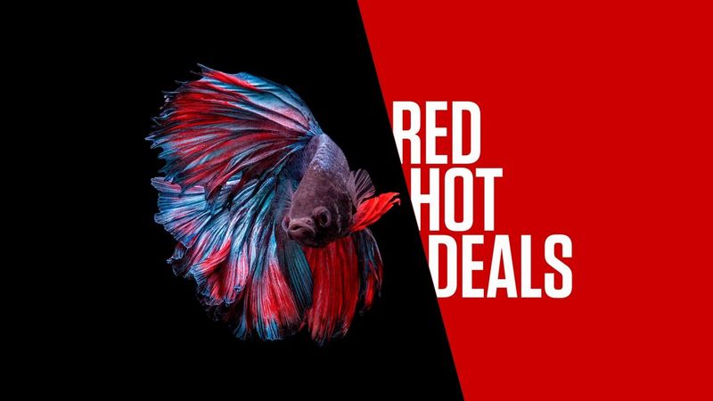 Black Friday e Cyber Monday — Canon Italia Store