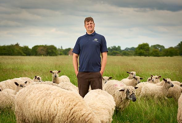 Harrison Spinks - Luxury Beds & Mattresses - Furniture Village