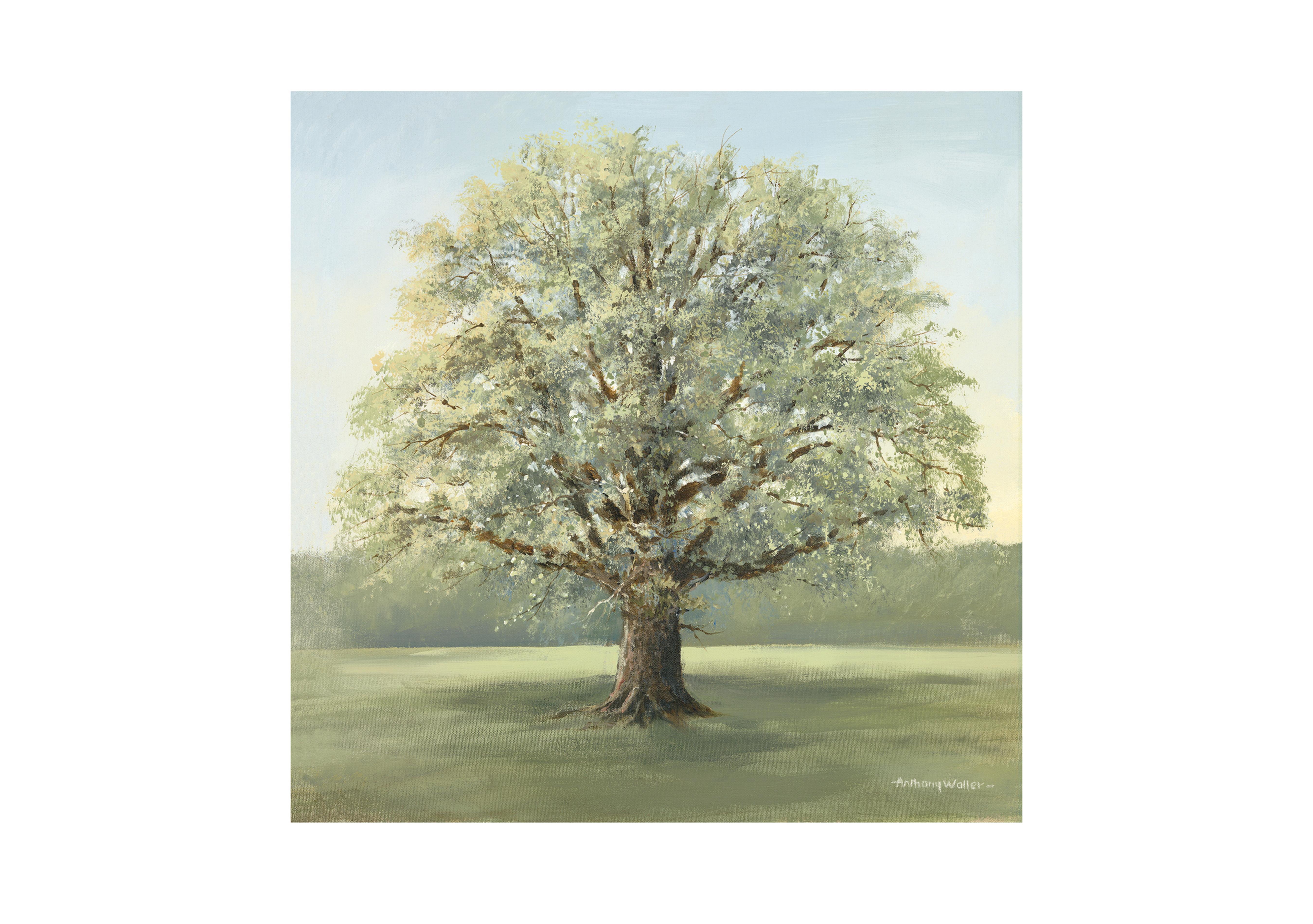 Mighty Oak Grand Wall Art - Furniture Village