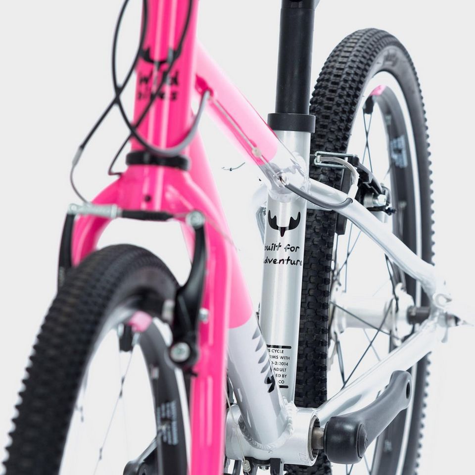 Wild bikes 20 store