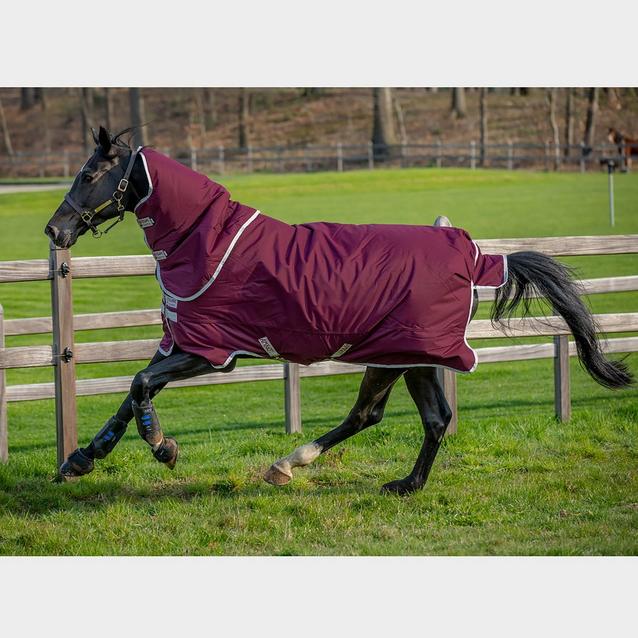 Horseware Amigo® Hero Ripstop Plus 200g Mediumweight Turnout Rug With ...