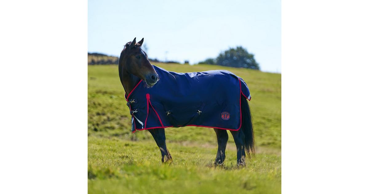 Royal Scot Original 50g Lightweight Standard Neck Turnout Rug Navy/Red ...