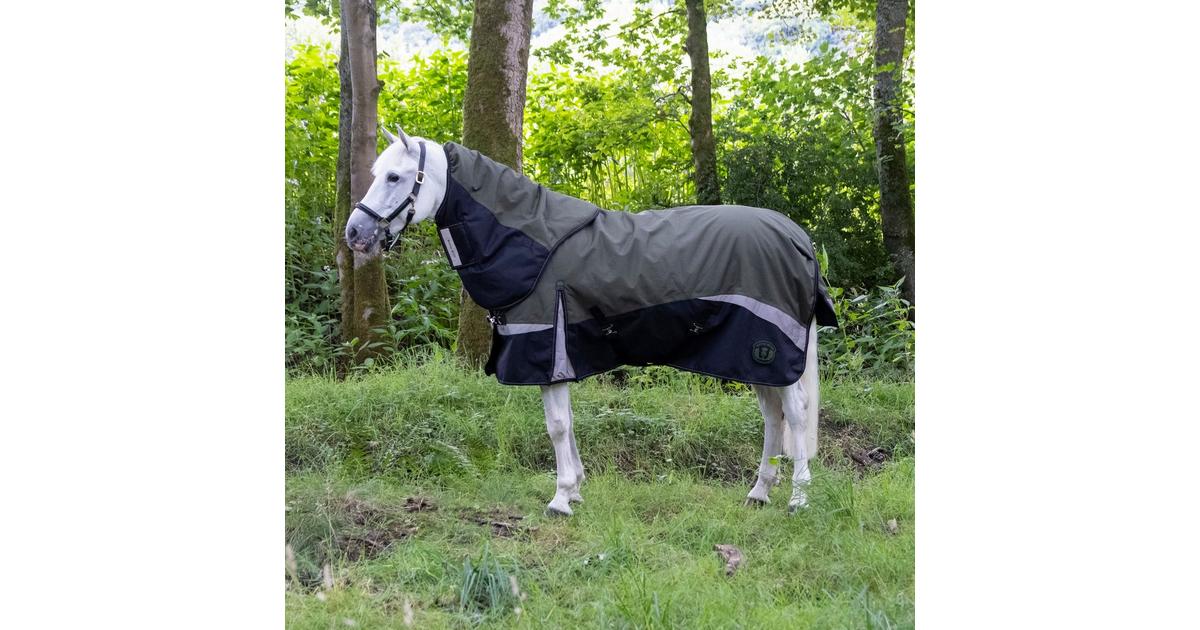 Royal Scot Pro 200g Turnout Rug | GO Outdoors