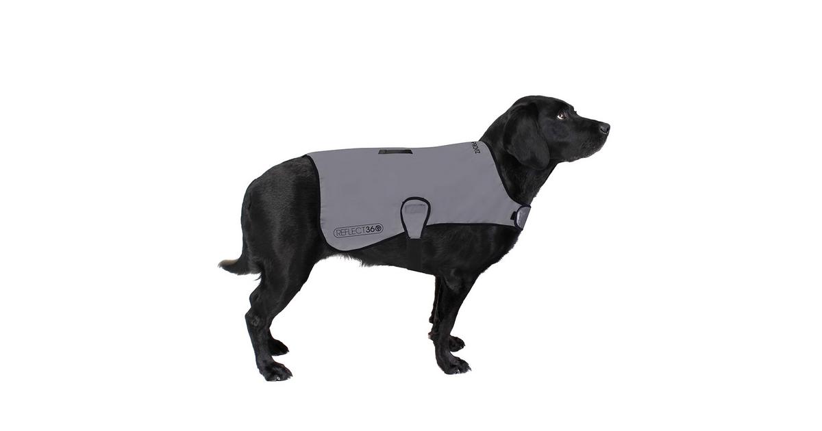 Proviz Sports Unisex REFLECT360 Reflective Waterproof Dog Jacket | GO ...