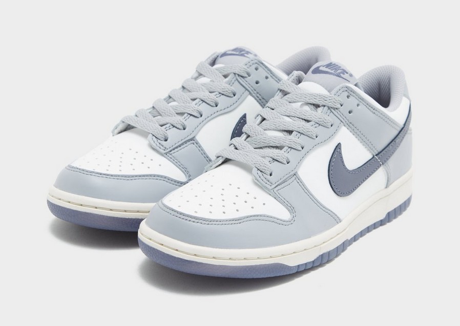 NIKE DUNK LOW (GS) FB9109-101 | Сив цвят JD Sports