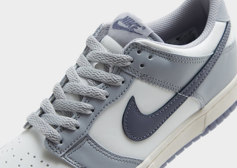 NIKE DUNK LOW (GS) FB9109-101 | Сив цвят JD Sports