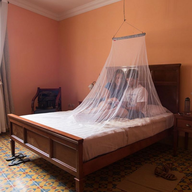 Mosquito net design store