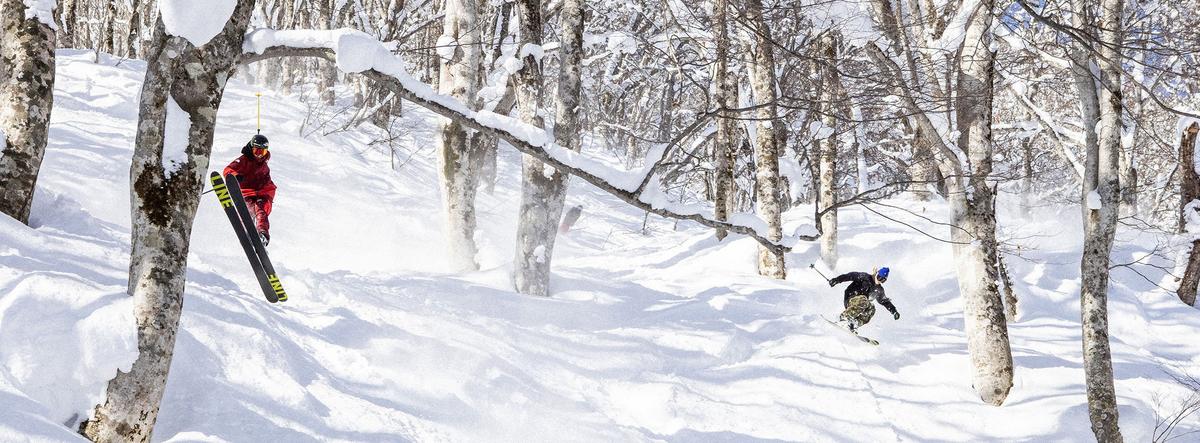 Powder Skis | LINE Skis