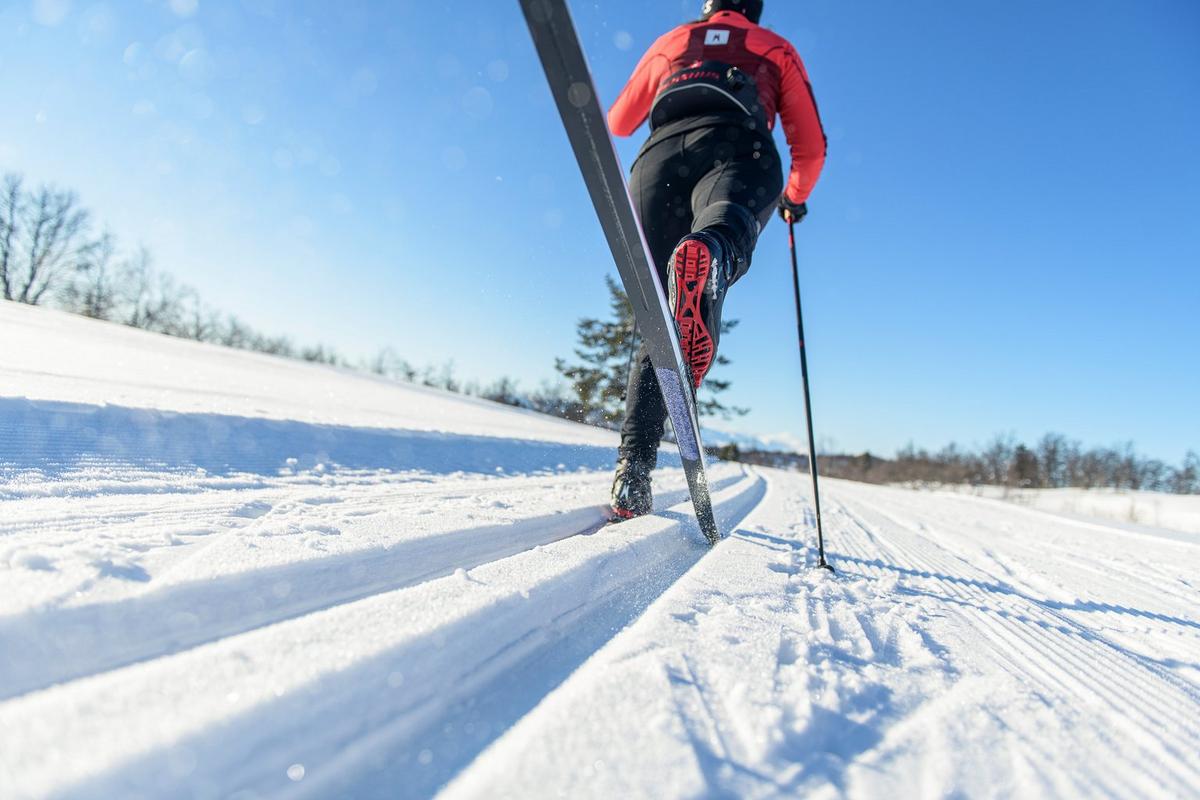 Skin series: How to pick the right skin ski