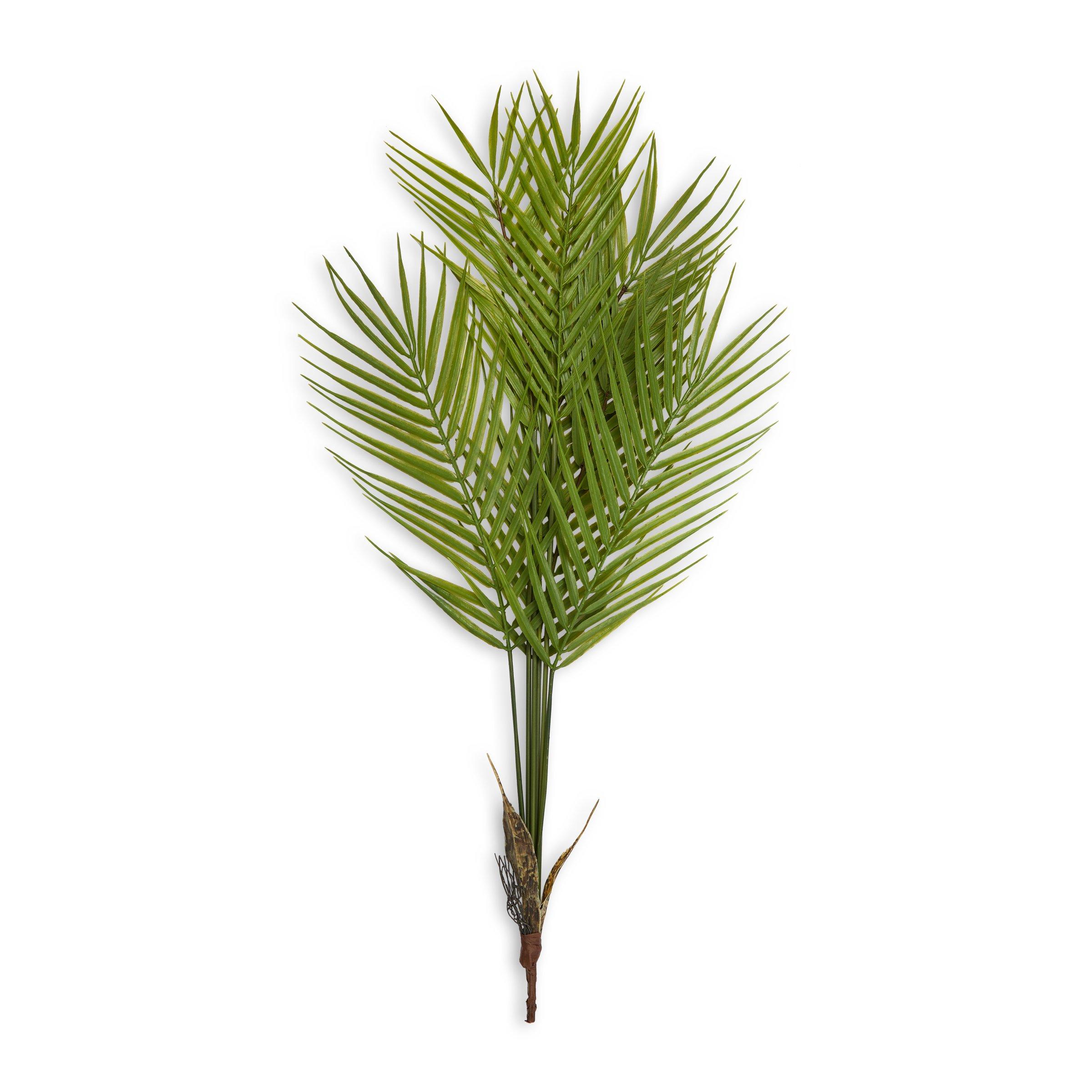 Palm Bunch (3080754) | Loads of Living