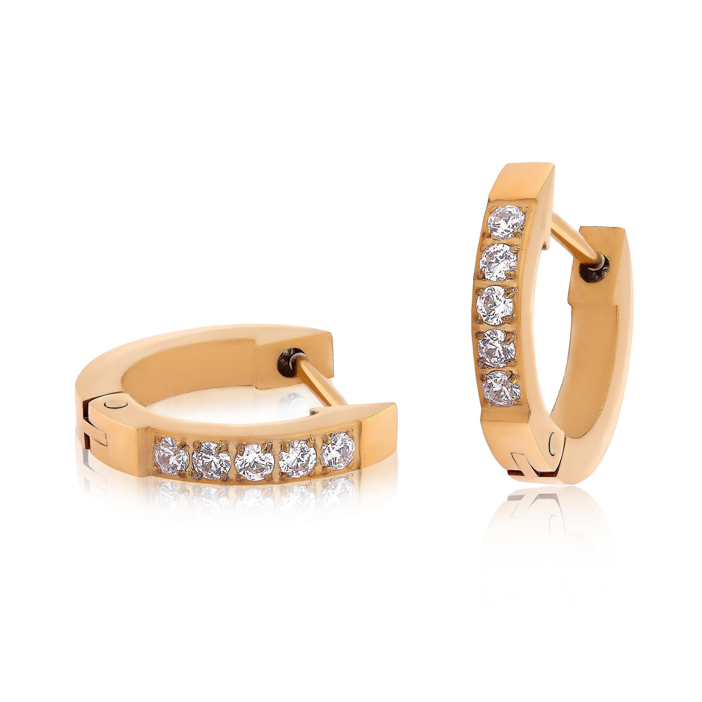 Stainless Steel Gold Plated Earrings (3138540) | Stainless Steel