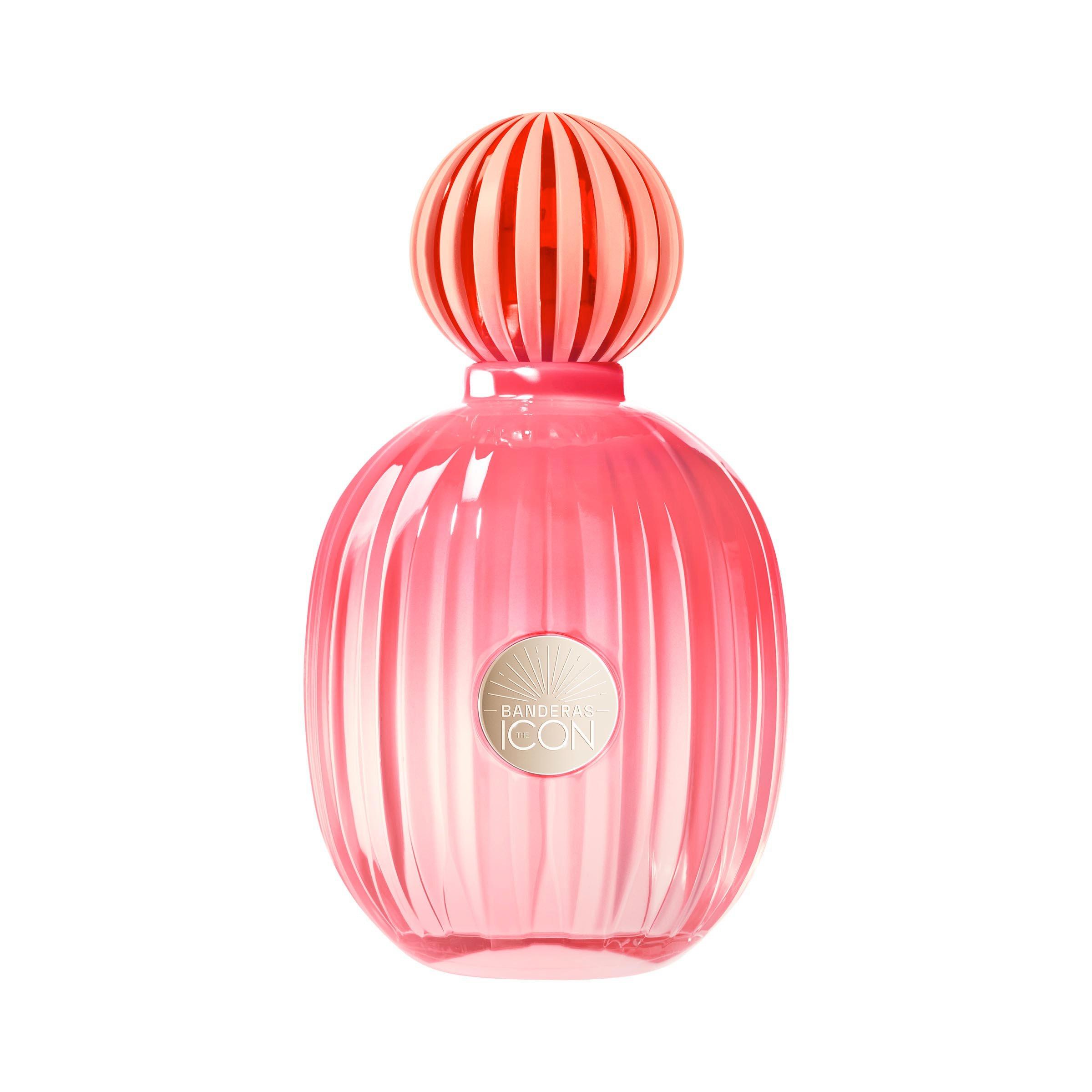 The Icon Splendid EDP (3156573) | Banderas