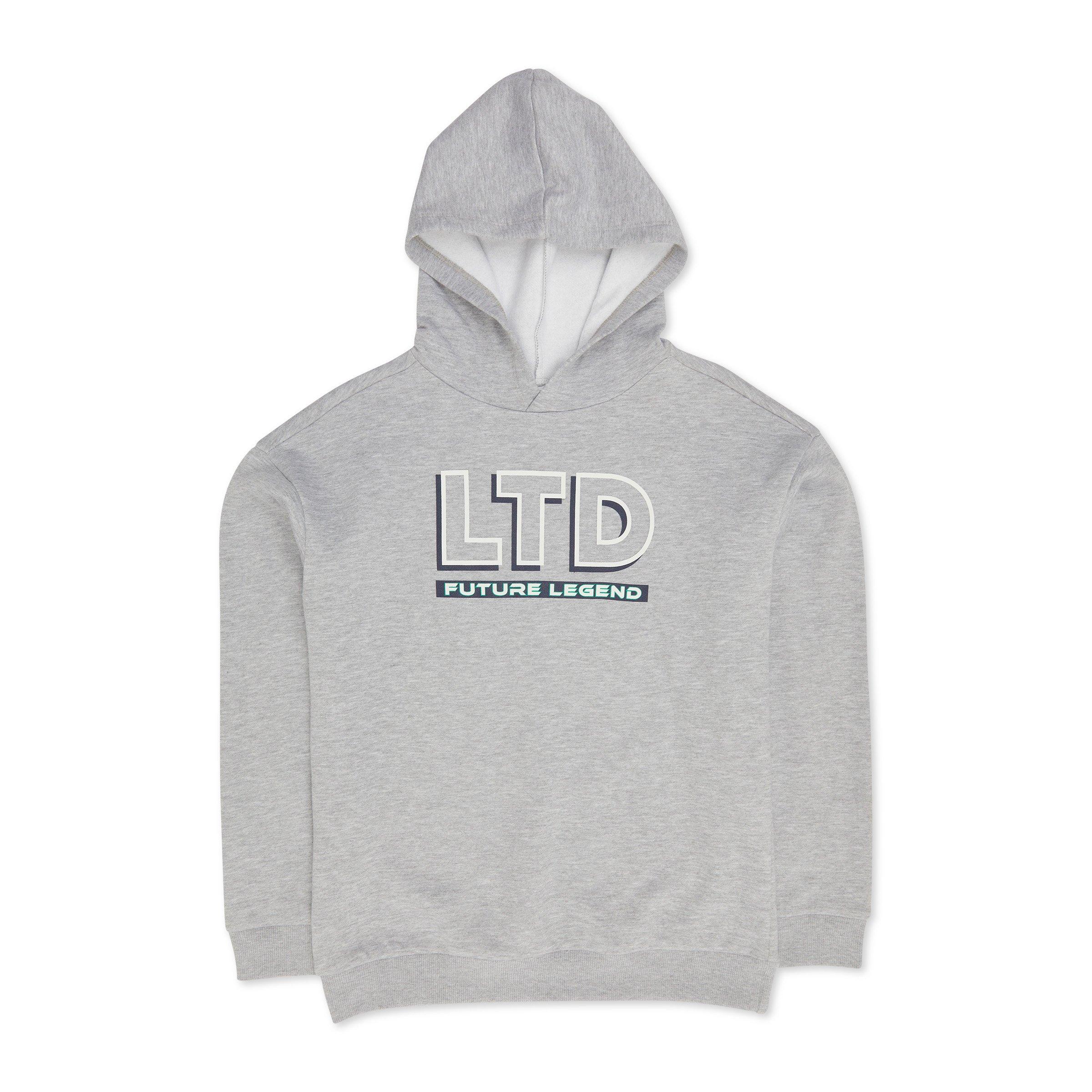 Boys Grey Hoodie (3194268) | LTD Kids