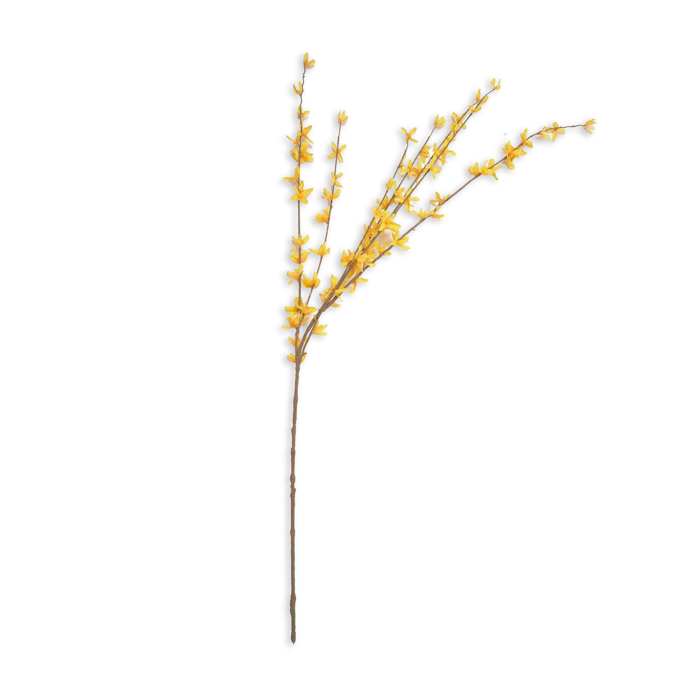 Yellow Flower Stem (3197449) | Loads of Living