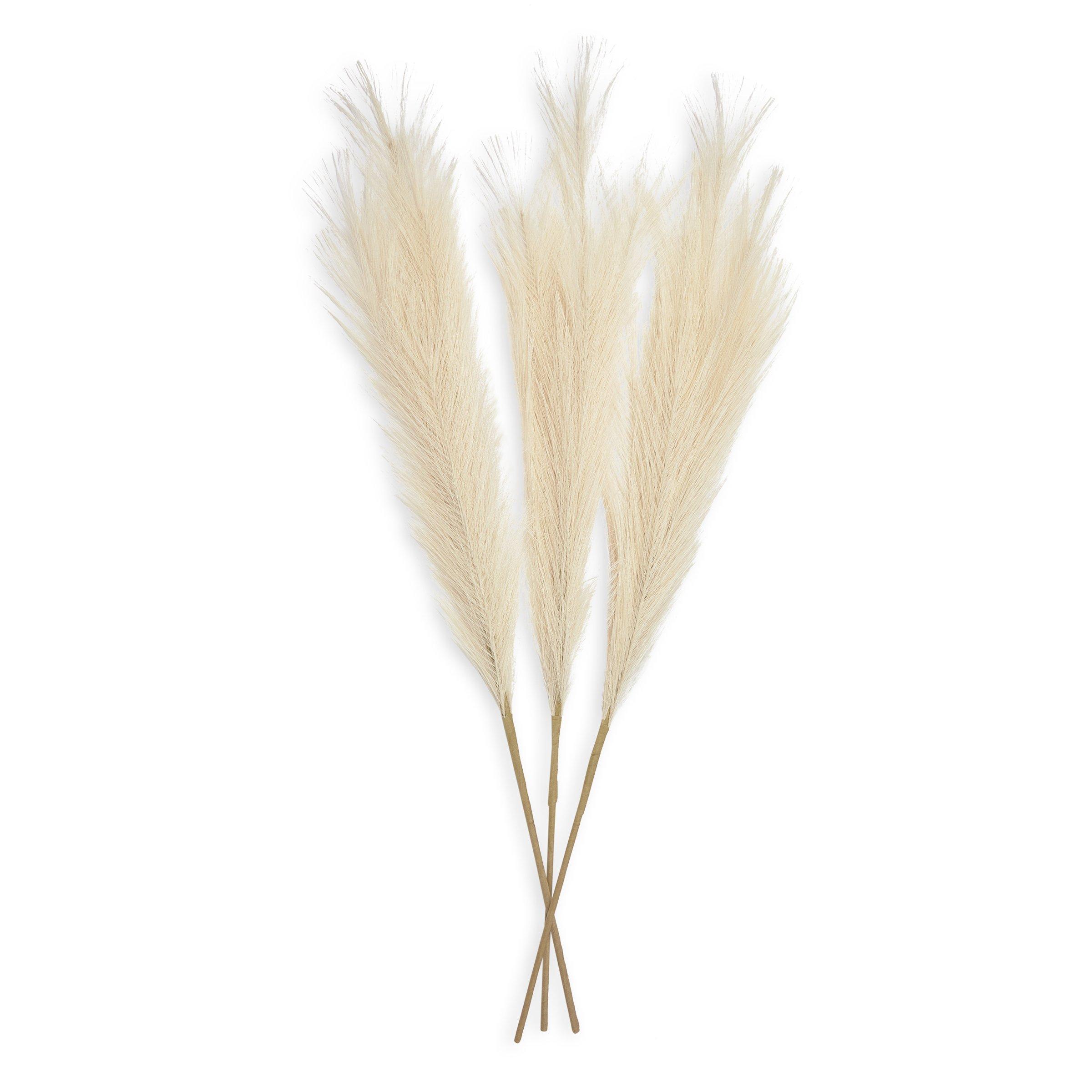 Cream Pampas Set 80cm (3218199) | Loads of Living