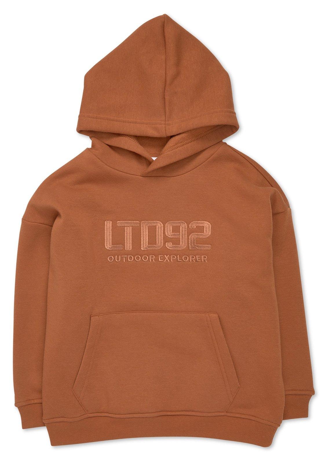 Kid Boys Rust Hoodie (3239291) | LTD Kids