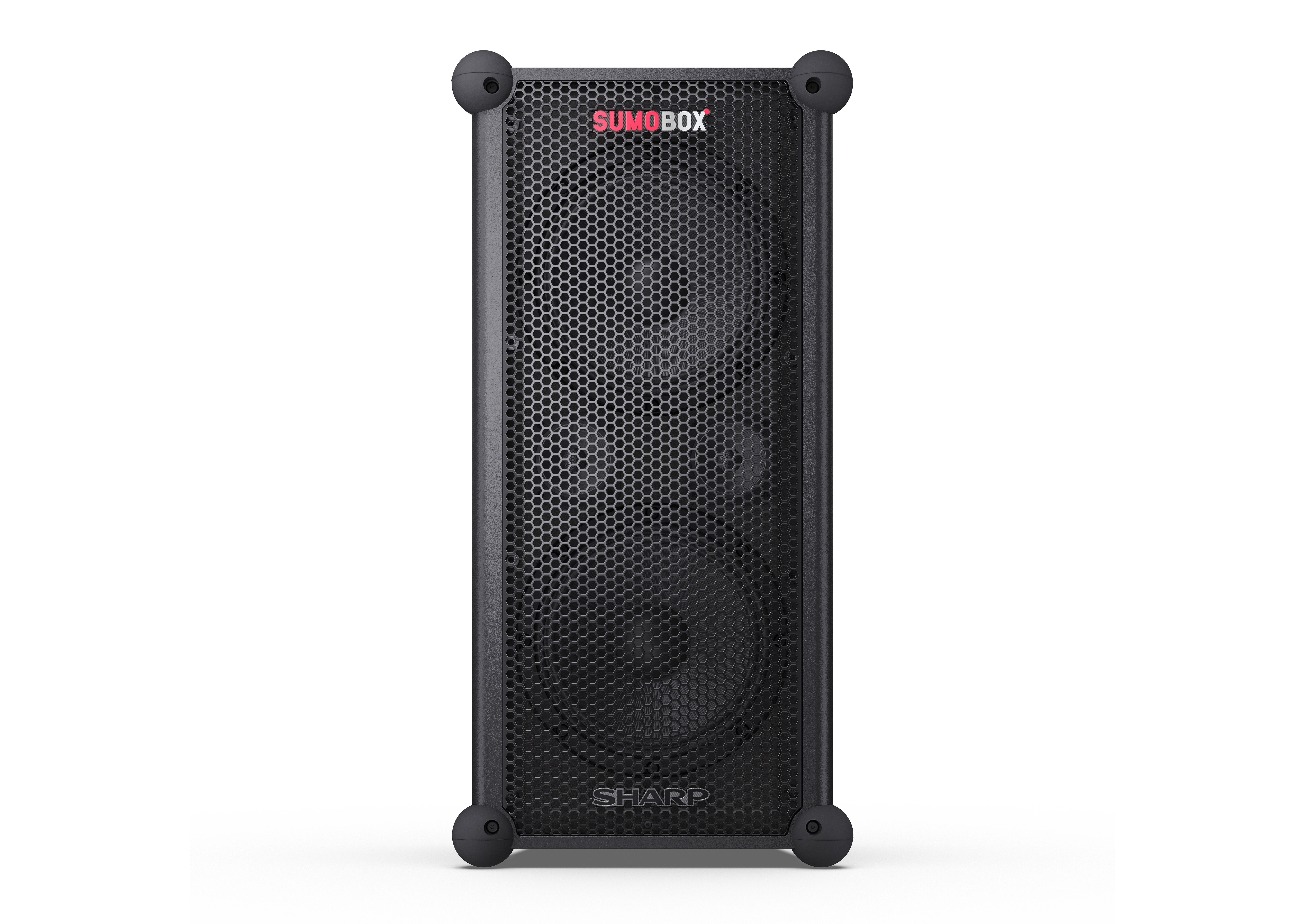 Sharp CPLS100 120W 2.0 Channel Speaker